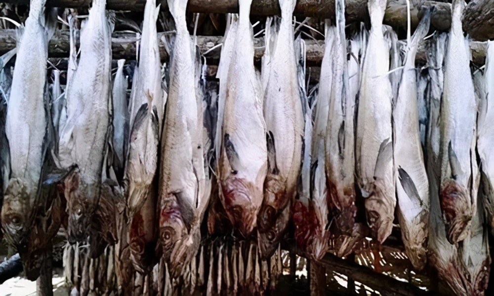 Mentai fish "jianghu": South Korea eats up 80% of production, Russia ...