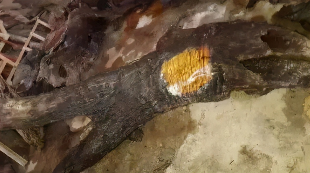 The villagers dug out the "human-shaped" wood, and the skin turned ...