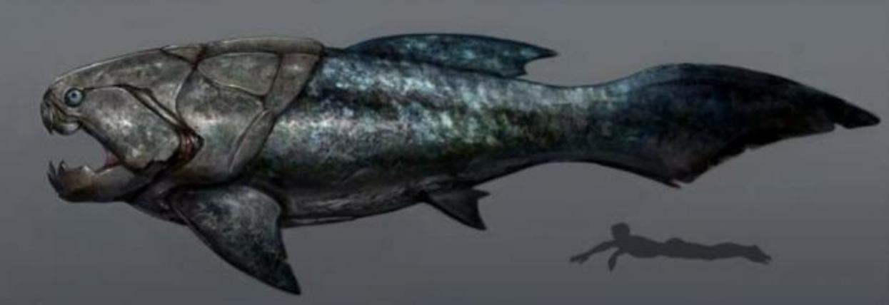 Deng's fish: A slug, under the siege of the strange shrimp, sea ...