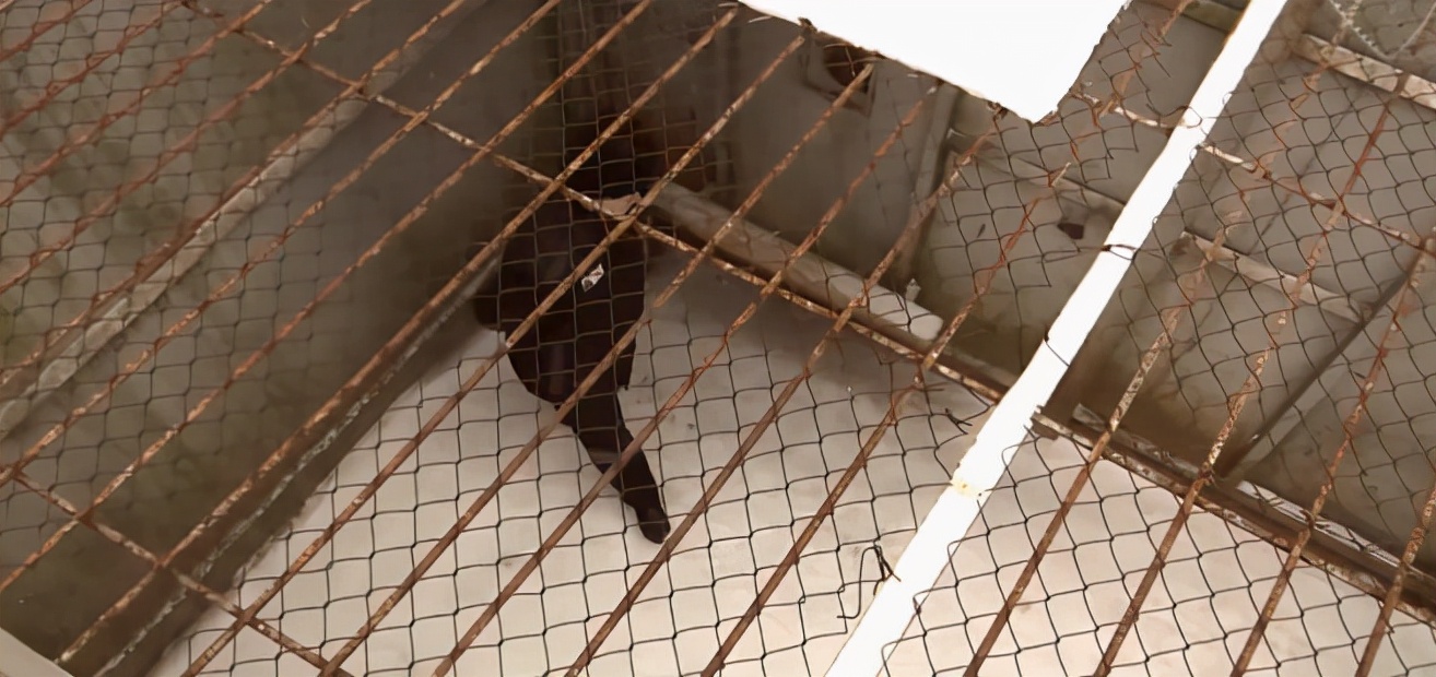 Fire Island Prison in Russia: Criminals would rather be shot, no one ...