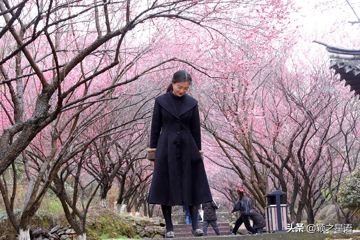 Yuyao Fifteen Ao Plum Garden, originated from Huang Zongxi, has a ...