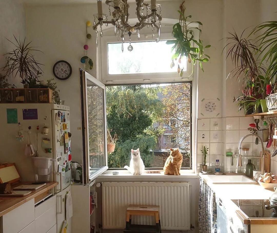 When I saw the neighbor's kitchen, I realized that my kitchen was too ...