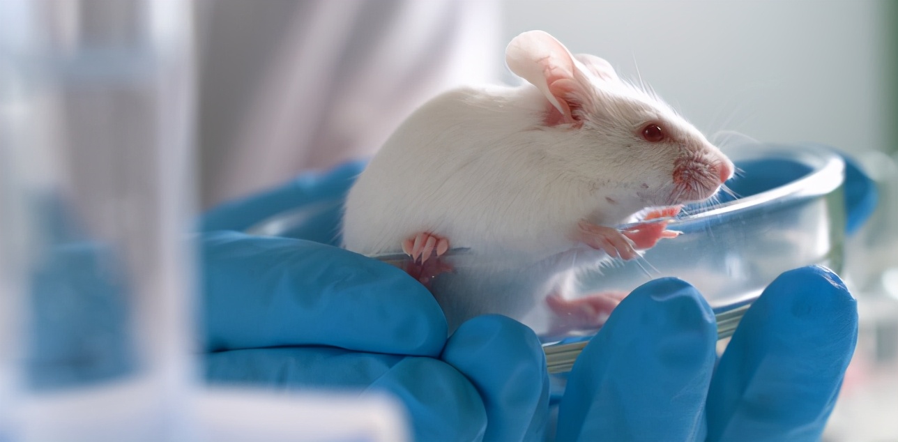 For the first time in the world!Chinese scientists successfully ...