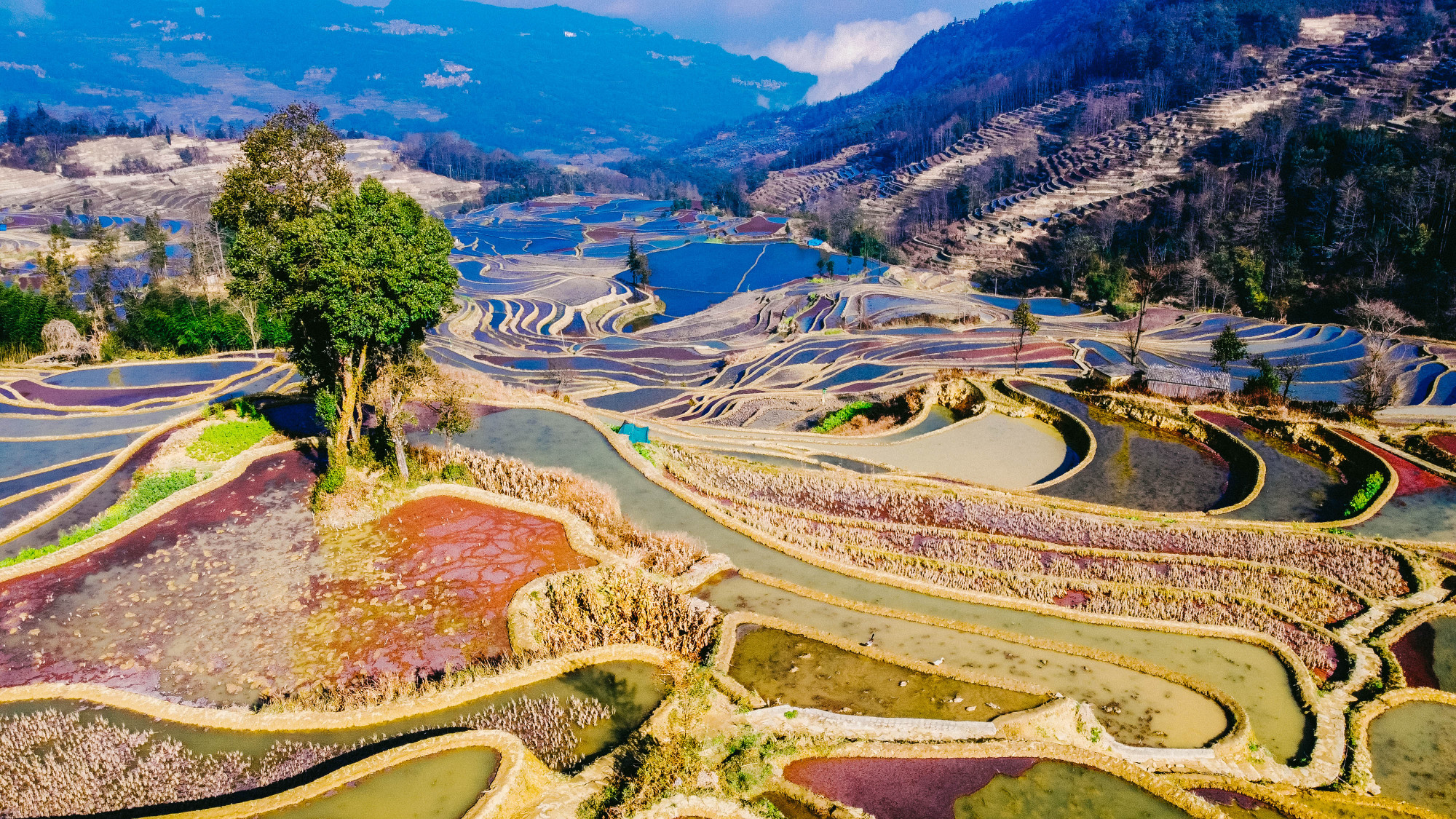 China's largest terraced fields, 3700 terraced fields are like a ladder ...