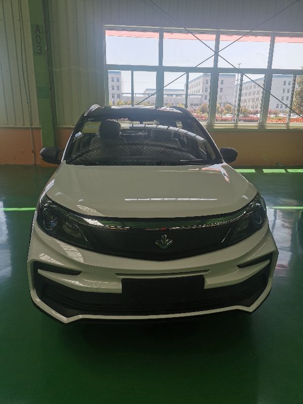 Geely Technology's pure electric Maple Leaf 30X, about 70,000 yuan, is ...