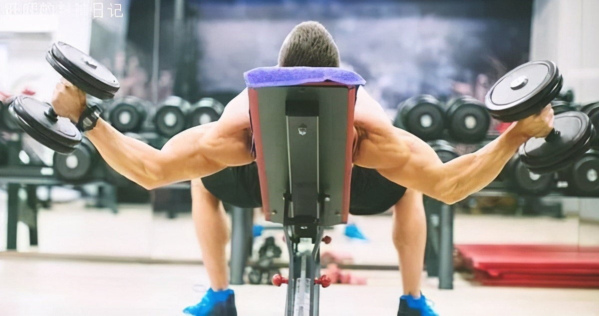 The same is the chest exercise, chest clamp or bench press, which one ...