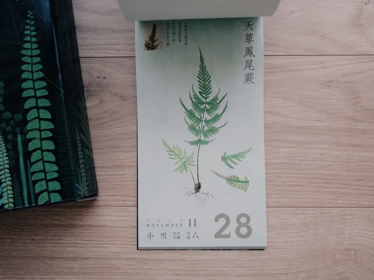 "Jingdong Dog" is fat?2022 hand-painted seed calendar, come and see ...