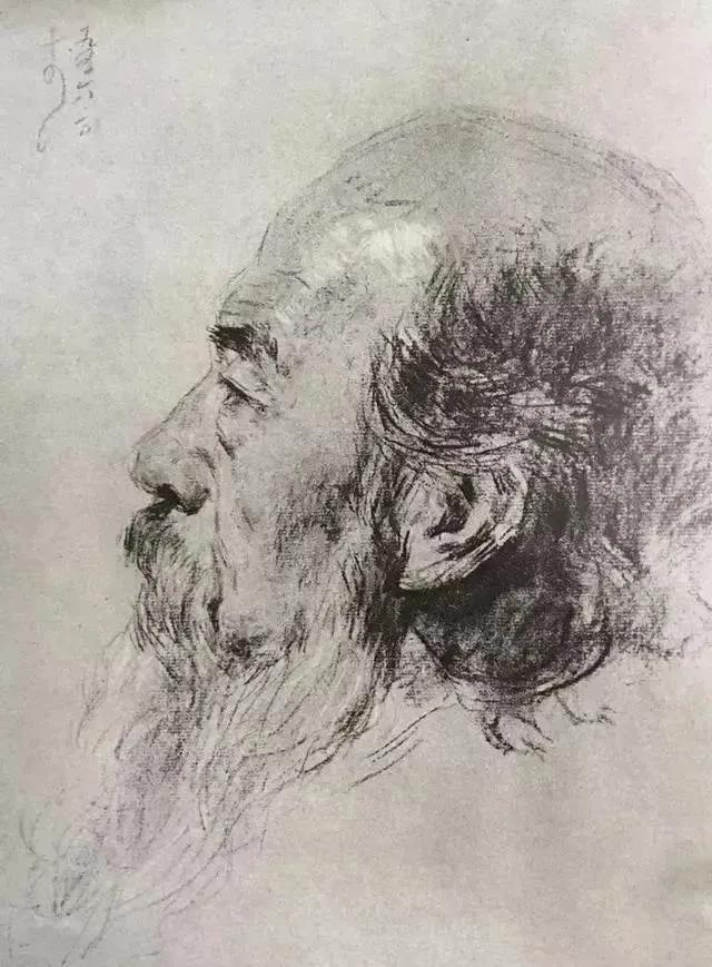 The beautiful sketch of Li Hu - iNEWS