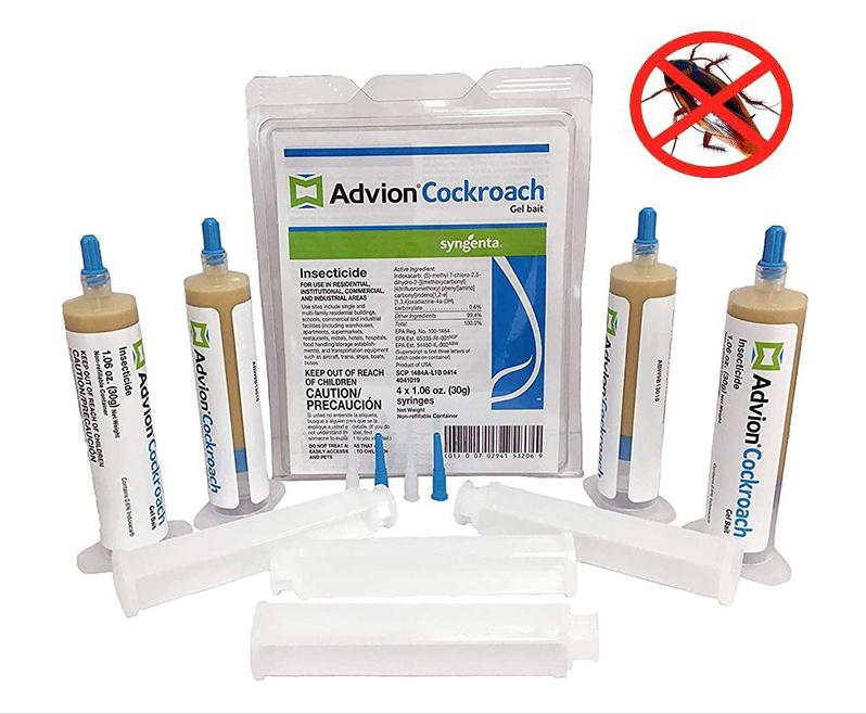 Stomping on a cockroach to death is more terrifying than a living ...