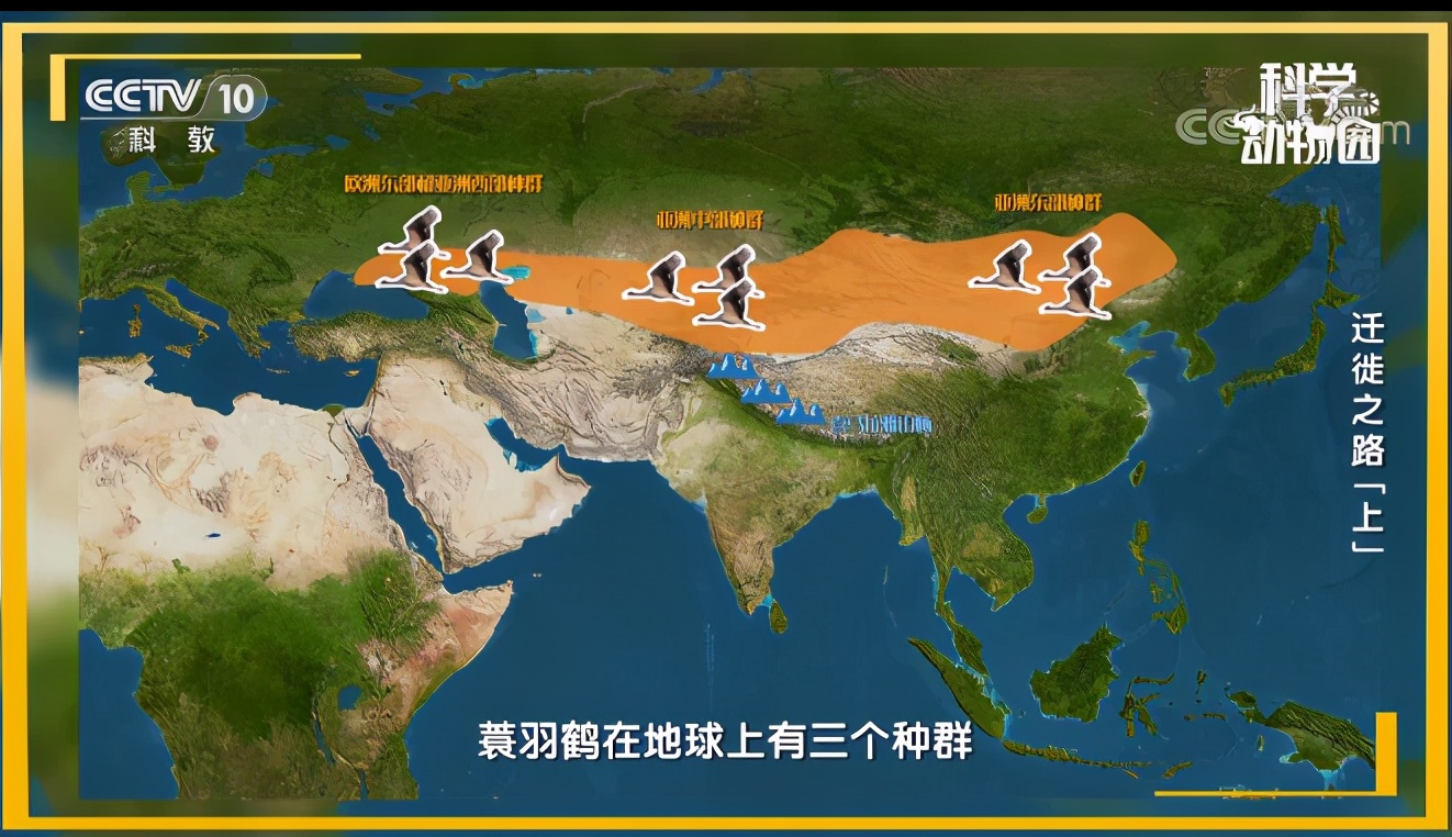 Climbing Mount Everest, confronting the golden eagle, the 4,500 ...