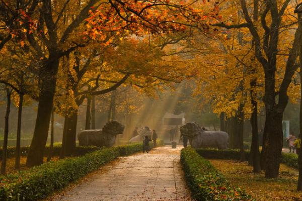 Nanjing is the "good season" for enjoying autumn, Qixia Mountain is so ...