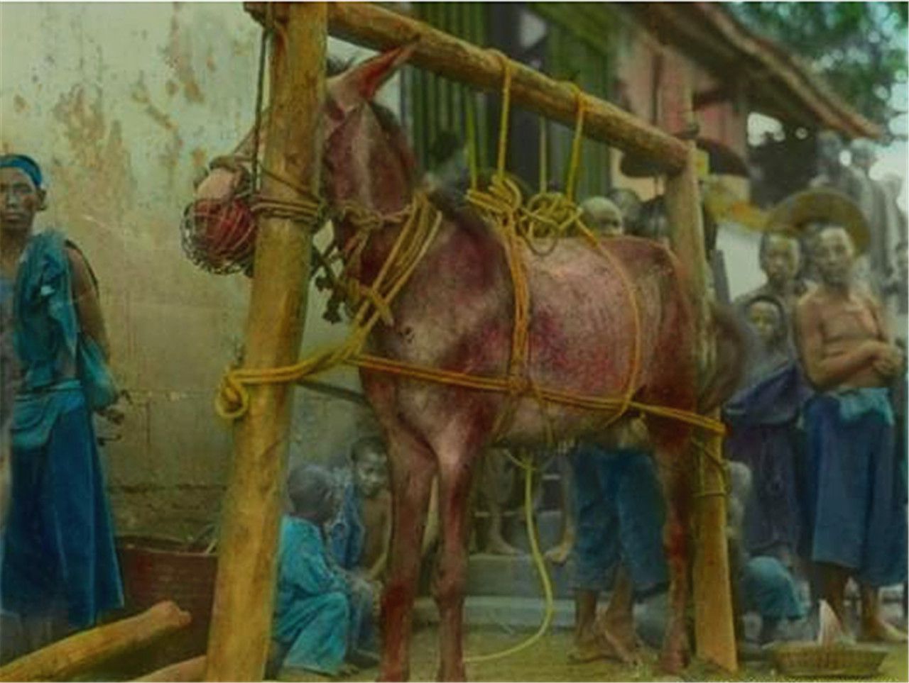 The ten most cruel dishes in China - iNEWS