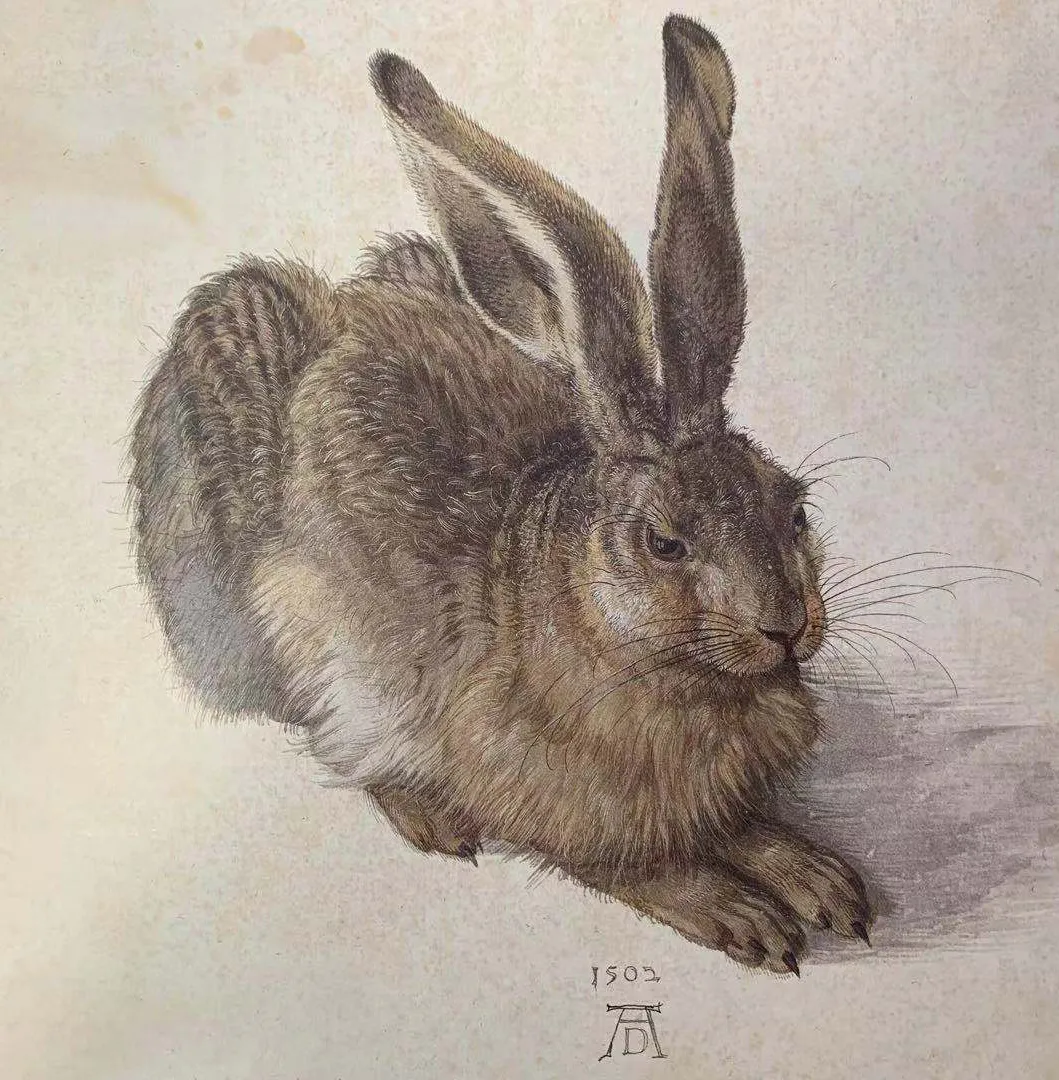 Master Classic Animals (3) Albrecht Durer - iNEWS