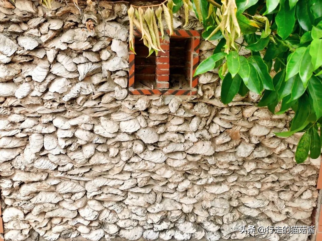 This magical village in southern Fujian uses oyster shells to build a ...