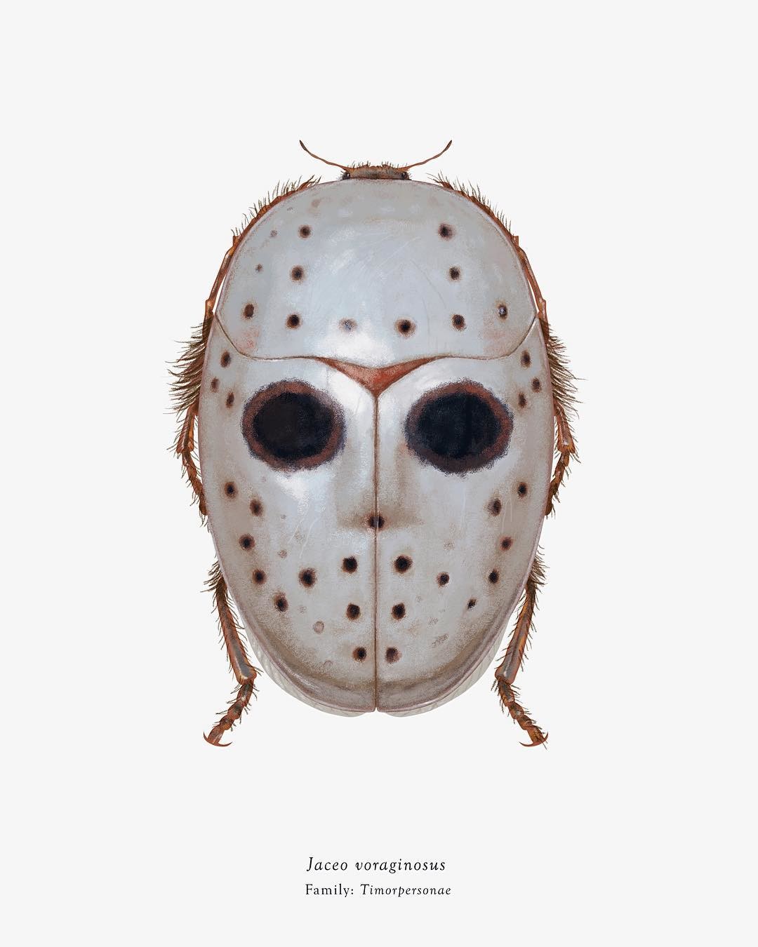 9 kinds of the most evil-looking beetles, exactly corresponding to the ...