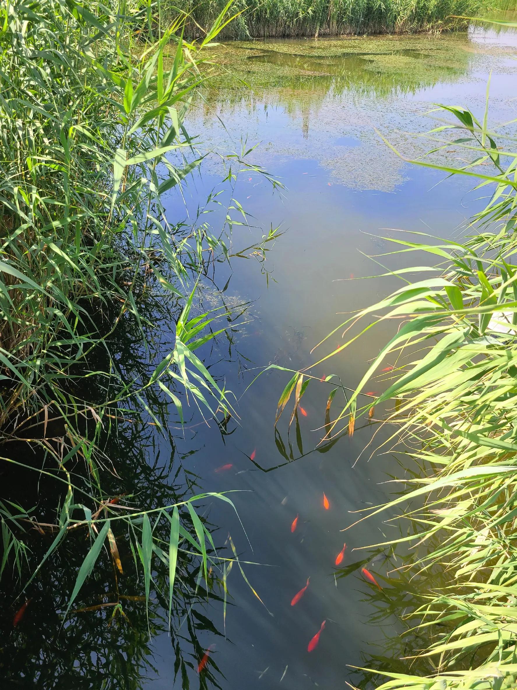 Tour Beijing Wenyu River Park - iNEWS