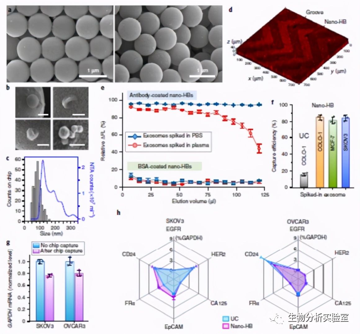 Nat Biomed Eng: Three-dimensional nano-configuration microfluidic chip ...