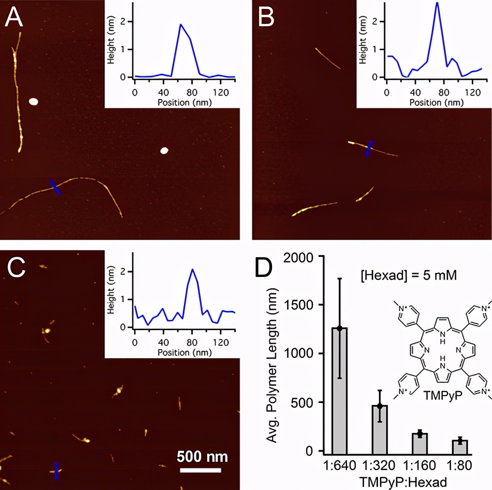 "JACS" Paired and stacked water-soluble supramolecular polymers with ...