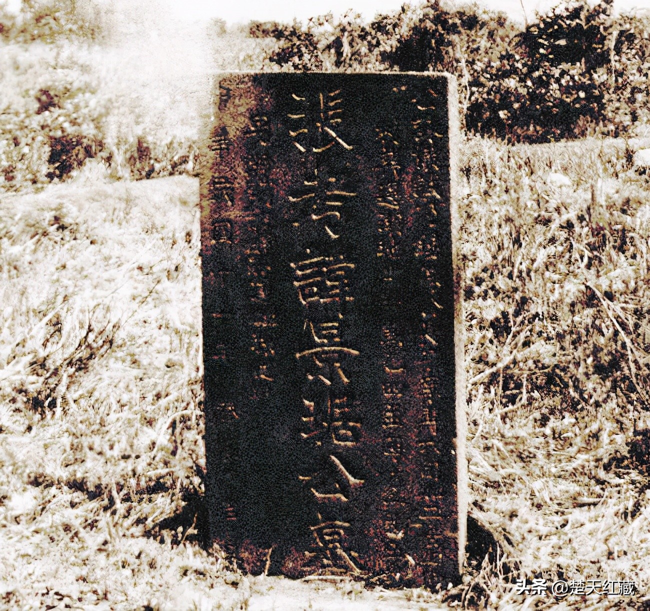 The New Fourth Army served as the commander-Deputy Commander Zhang ...