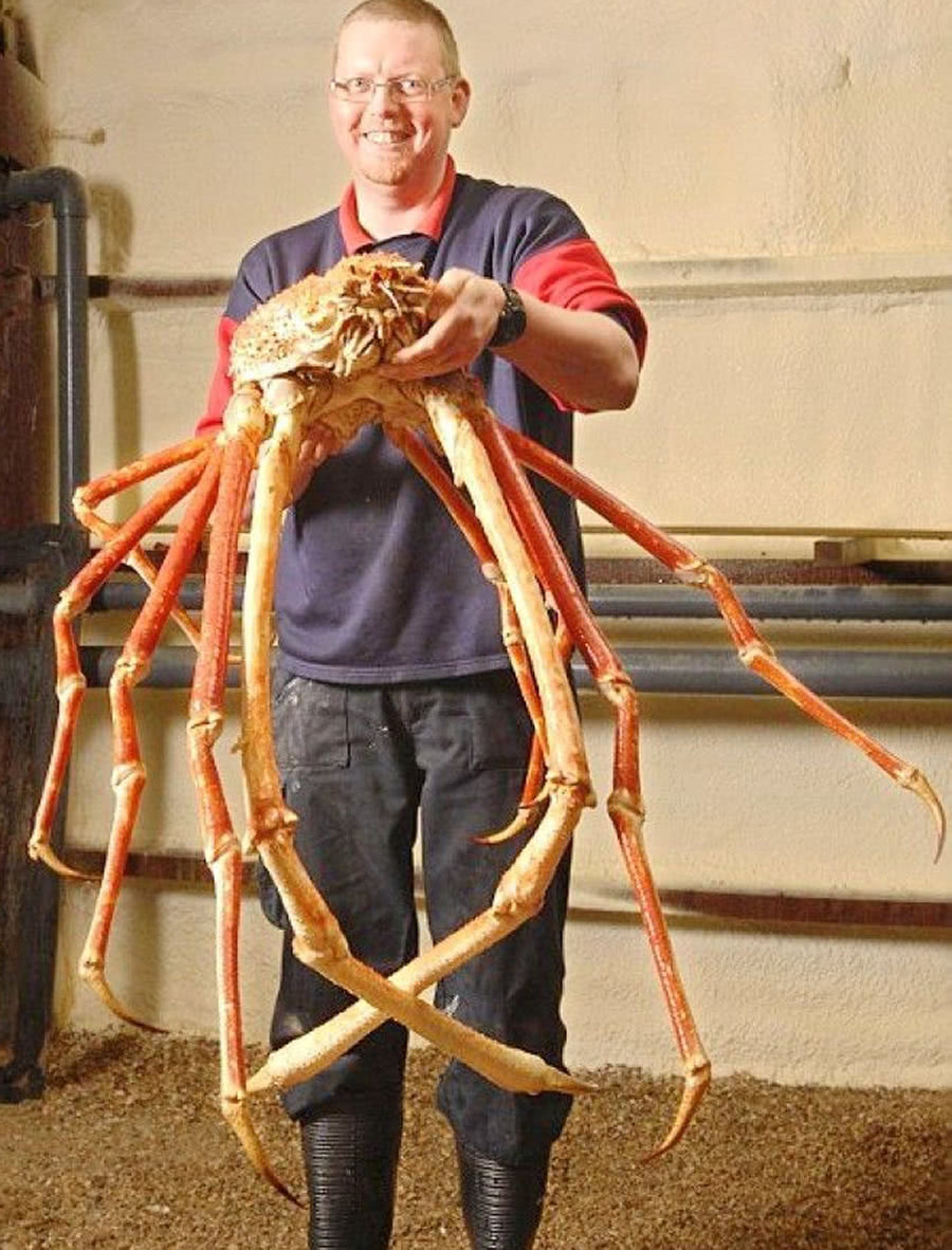 Nuclear pollution causes genetic mutations? Is there any secret behind ...