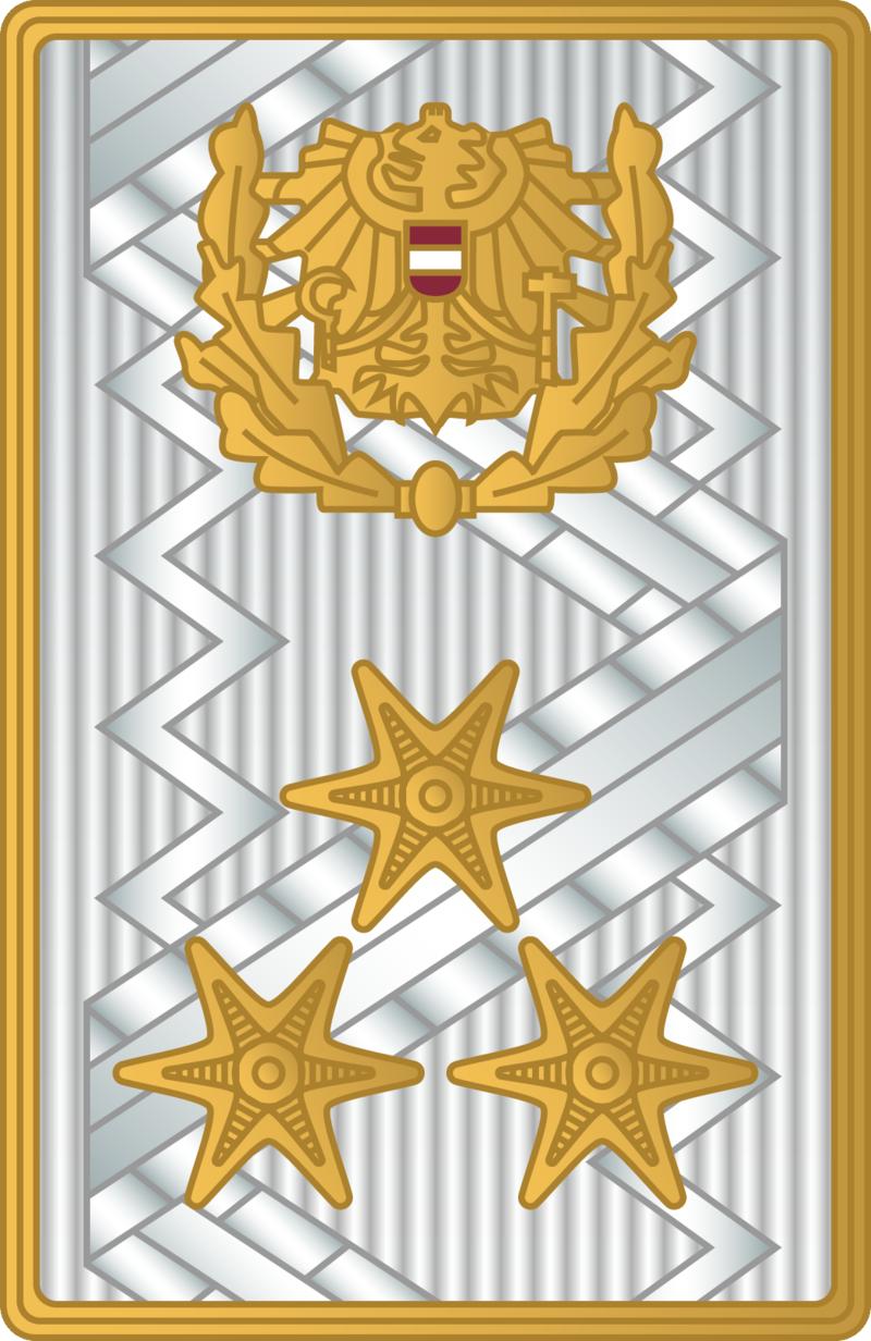 Austrian police rank mark - iNEWS