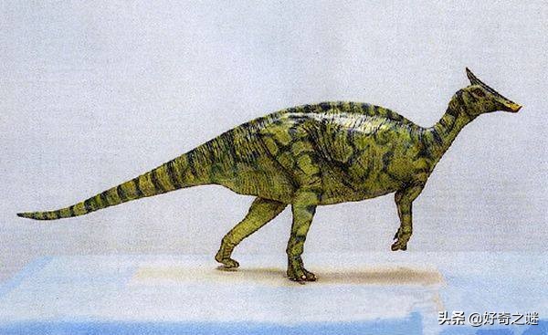 What is the function of the hadrosaur's crest? - iNEWS