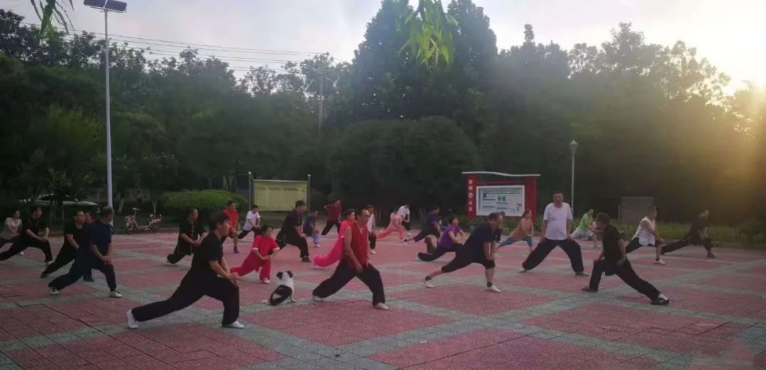 Do you pay attention to these important issues when you practice Tai ...