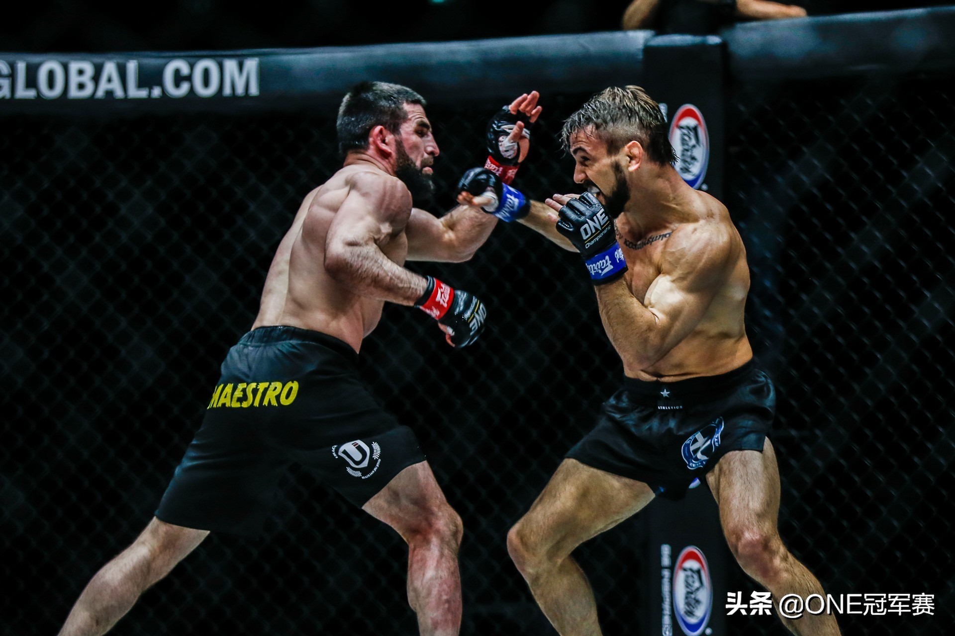 Battle report: The collision of kings ended successfully, the strongest ...