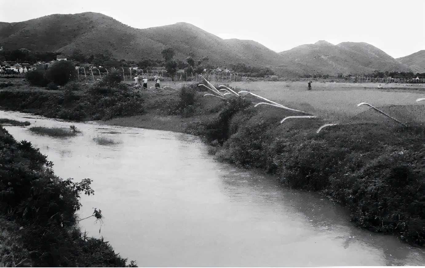 Here is a collection of the best old historical photos of Shenzhen - iNEWS