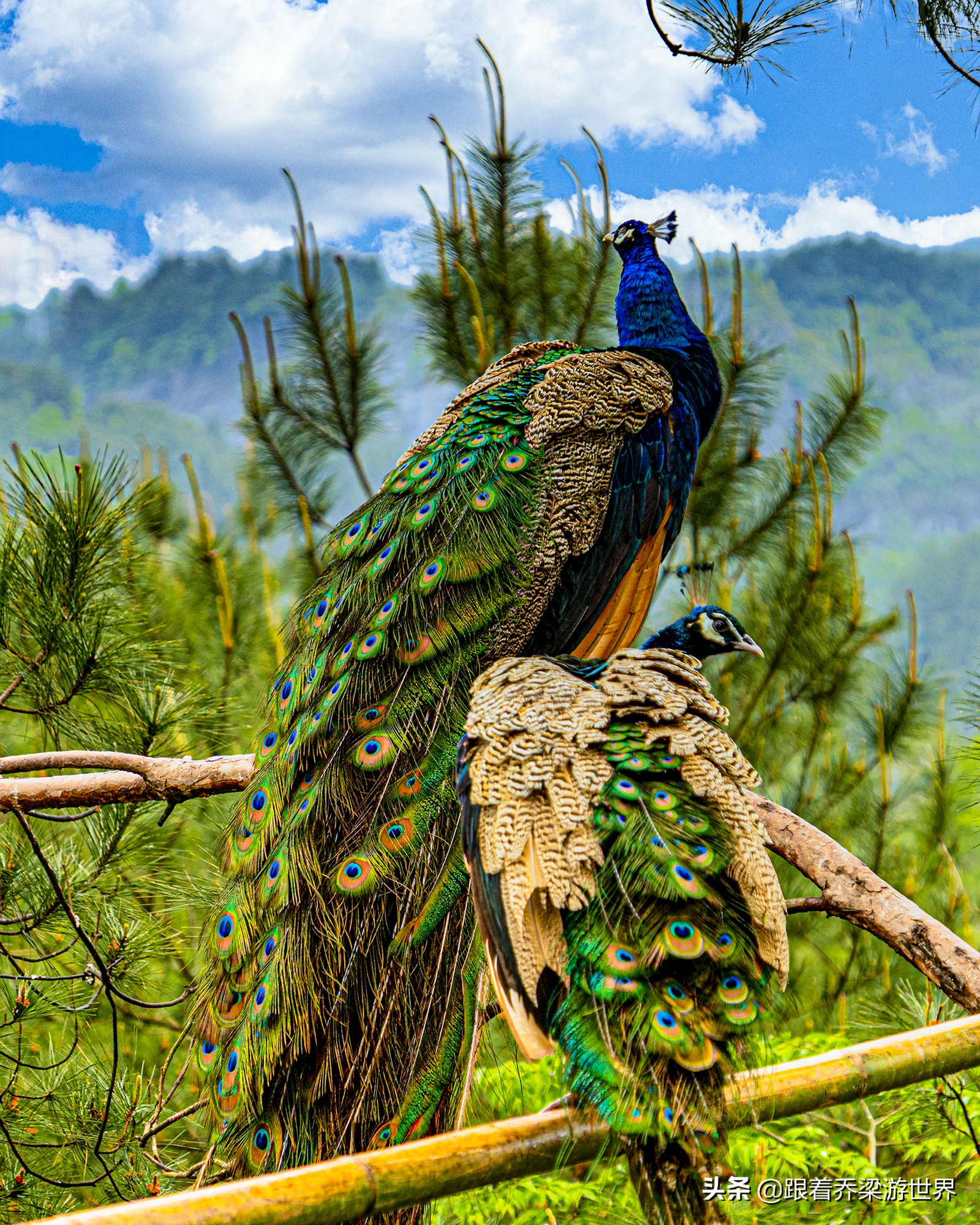 The thousand-year-old beauty of the Taiping Mountain hidden in the west ...