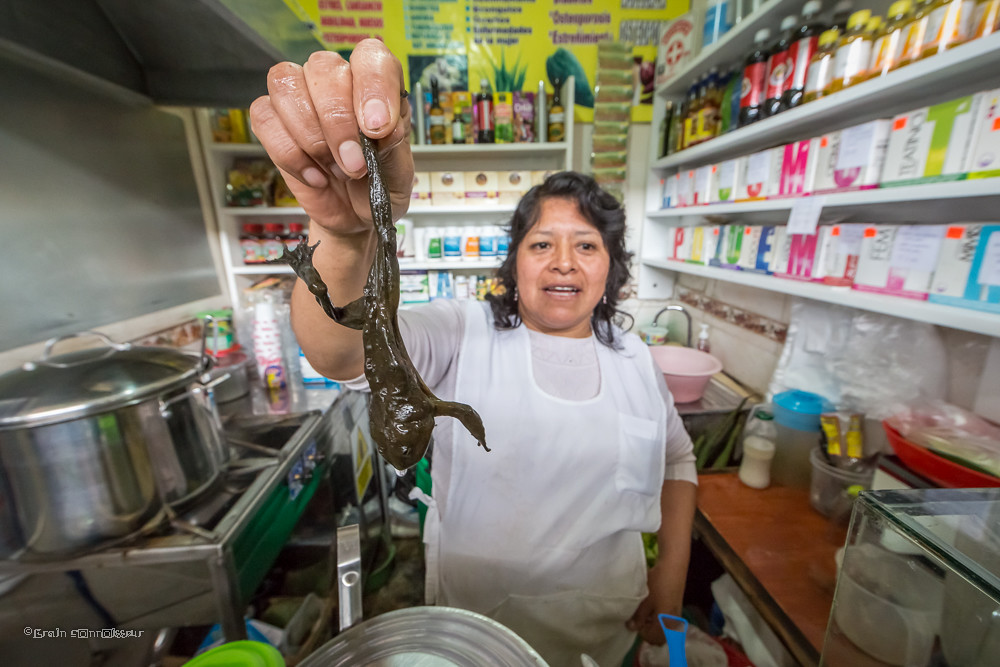 Squeeze the frog into juice and drink it?Does Peru's classic hot drink ...