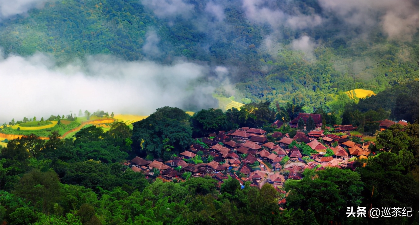 Seeking the "Source" of Tea·The Last Secret Land of China-Lincang - iNEWS