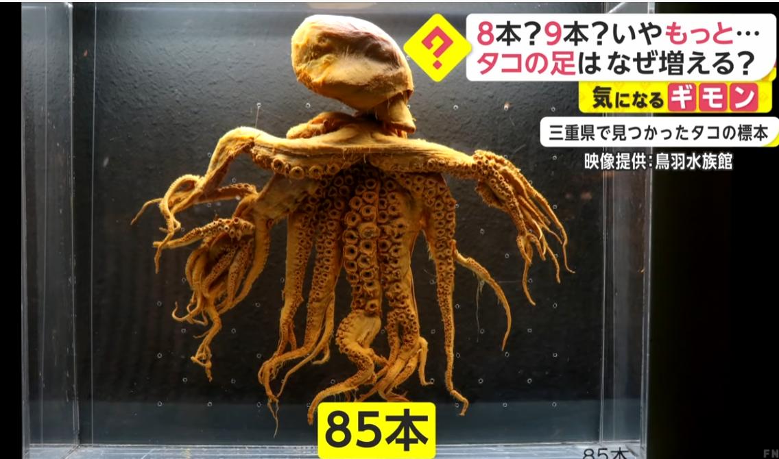 How harmful is Japan's nuclear wastewater?32-legged octopus, suspected ...