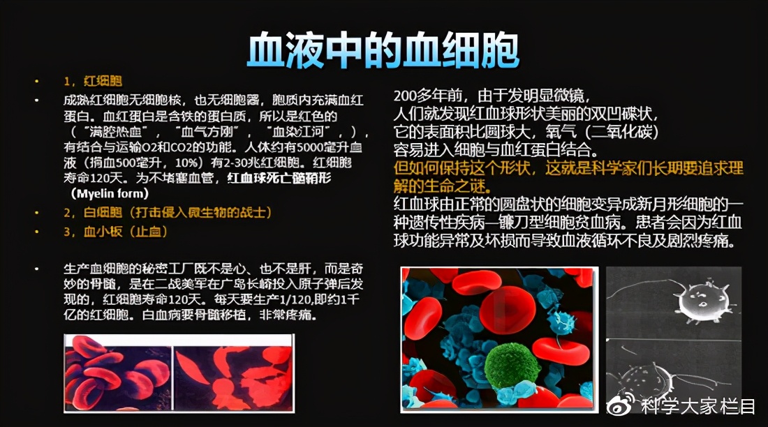 Uncover the mystery of the double-concave dish of red blood cells - iNEWS