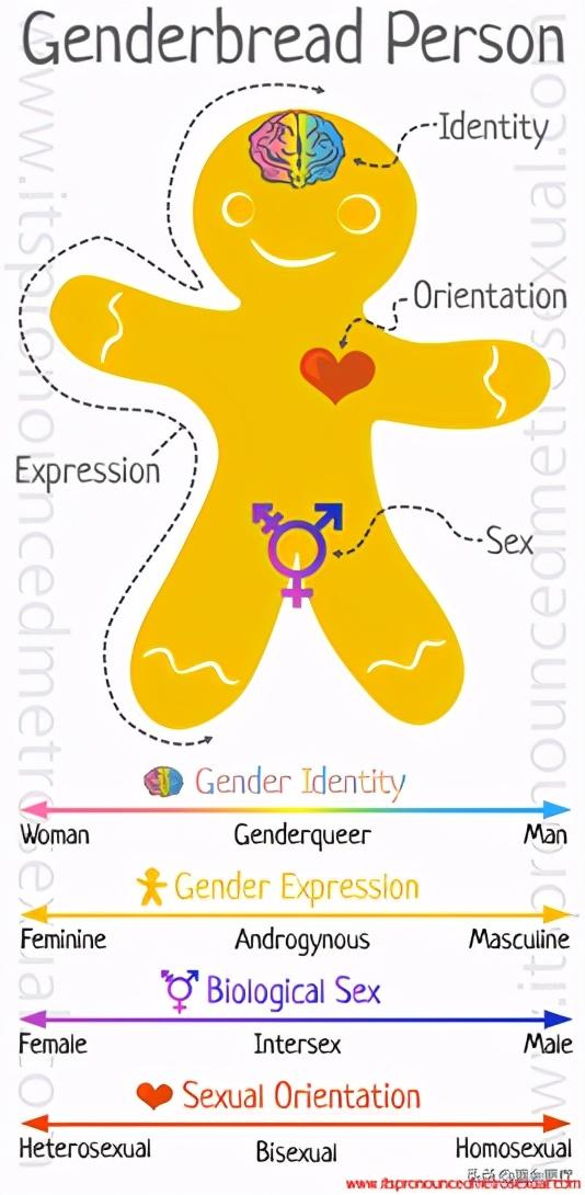 The male chromosome is XY, and the female is XX. What would a person ...