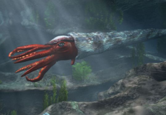 Deng's fish: A slug, under the siege of the strange shrimp, sea ...