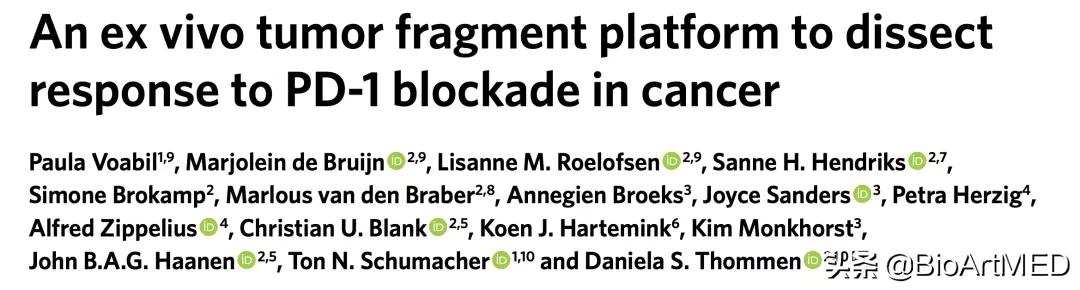A new in vitro platform reveals the early immune response of tumor ...