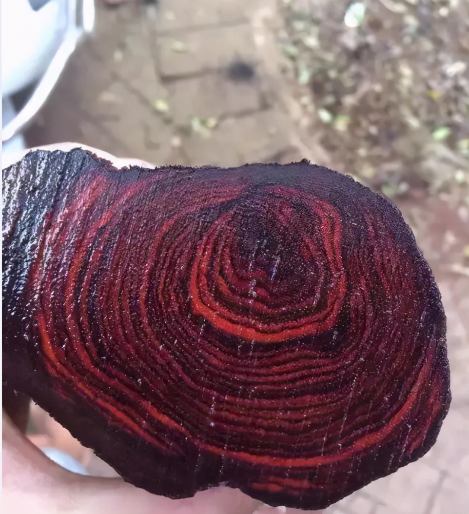"Thousand-year red sandalwood, 100-year-old rosewood": How many years ...