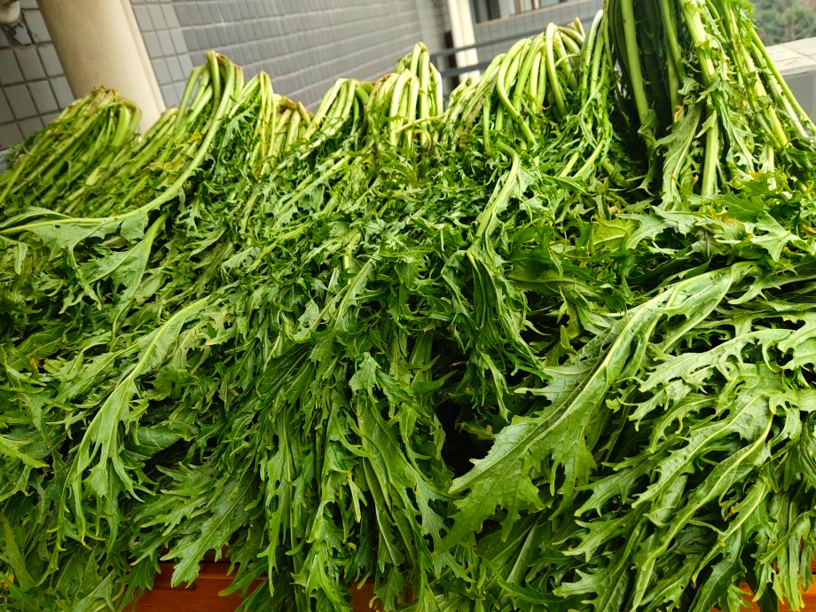 How to pickle potherb mustard delicious?Grandma used the 30-year-old ...