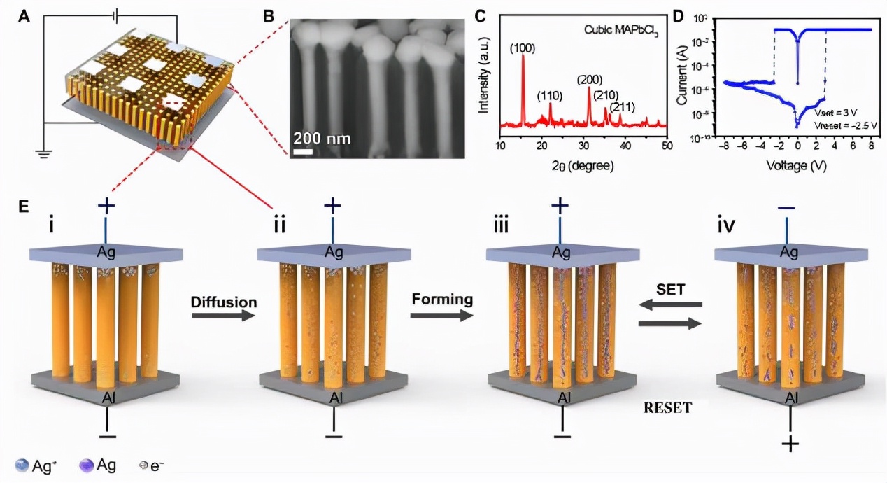 Fan Zhiyong Sci. Adv. Ultra-fast resistive random access memory based on three-dimensional ...