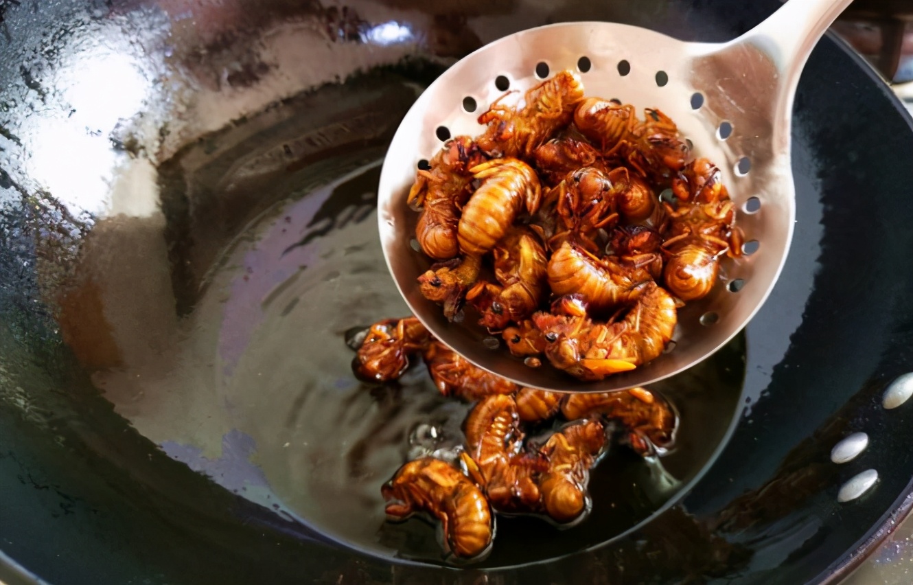 Deep-fried golden cicada, fried directly in the pan?No wonder it is not ...
