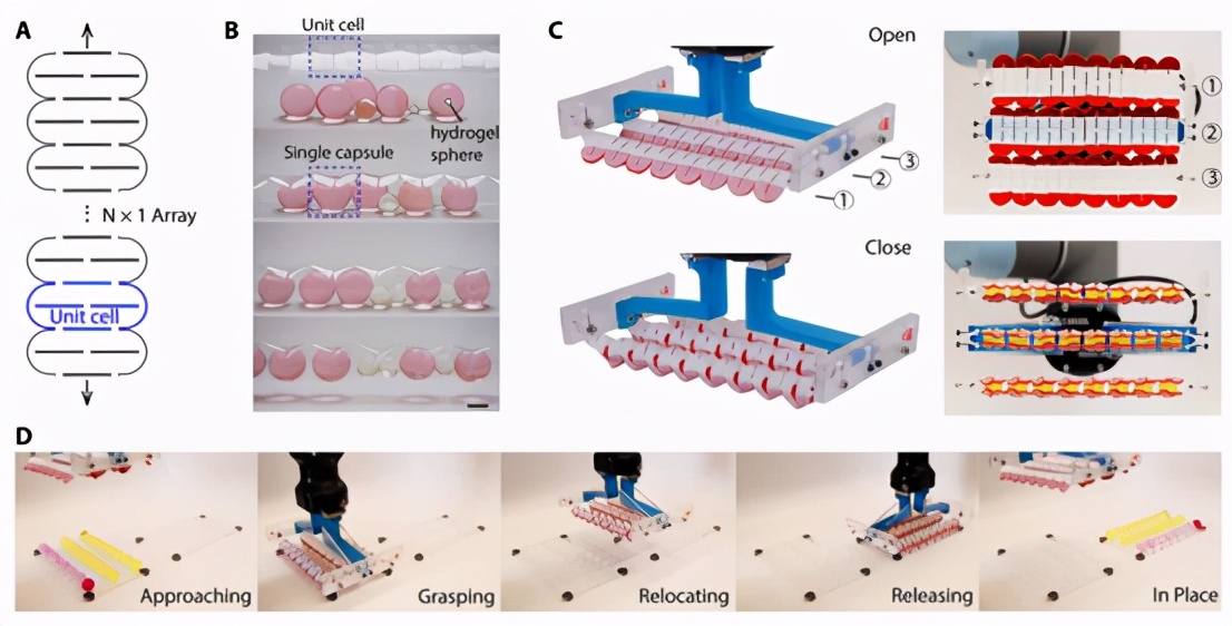 "Science Sub-Journal" kirigami shell hydrogel gripper - iNEWS