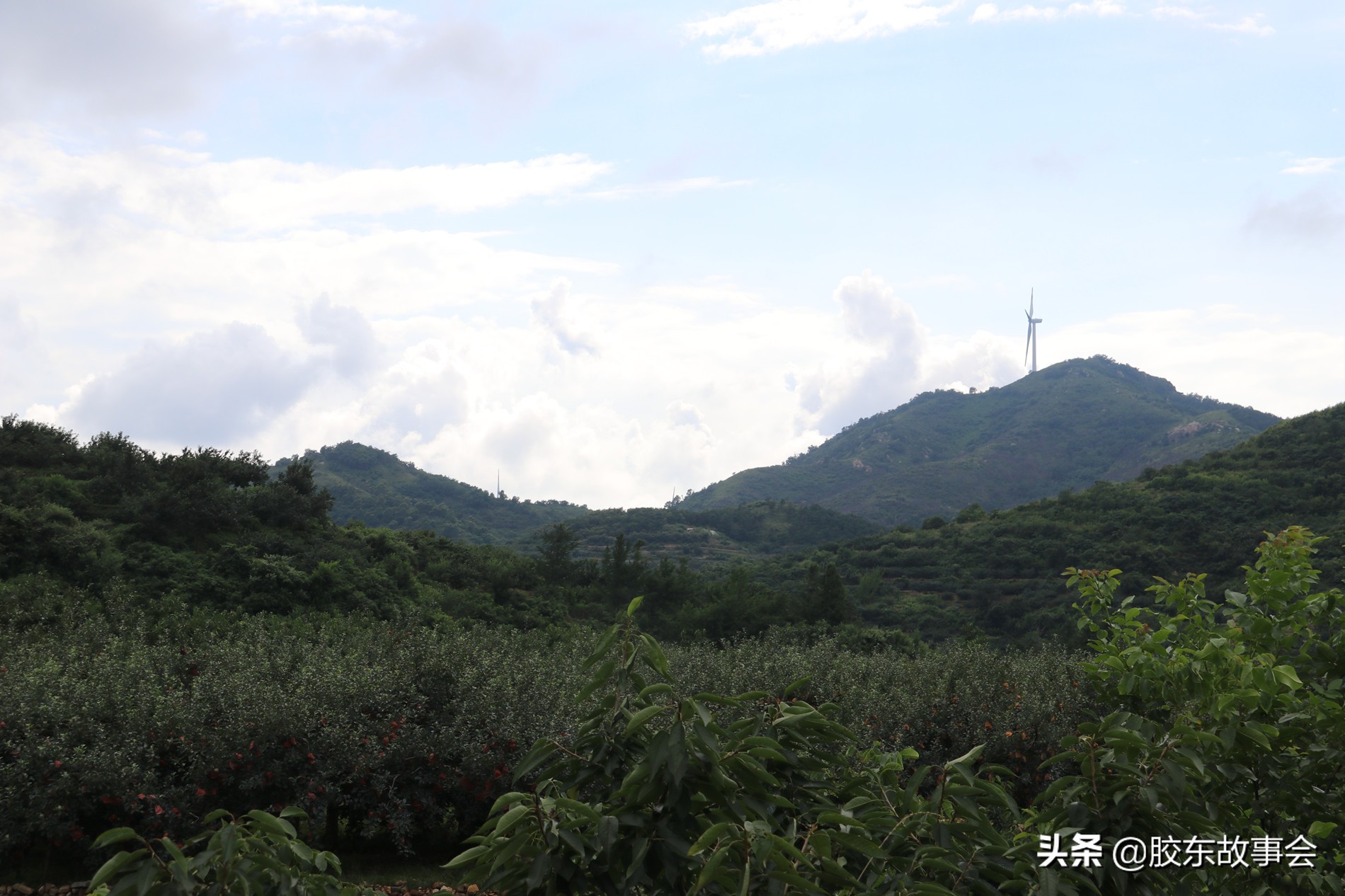 There is a beautiful "Tukuang" near Duoshan at the junction of Muping ...
