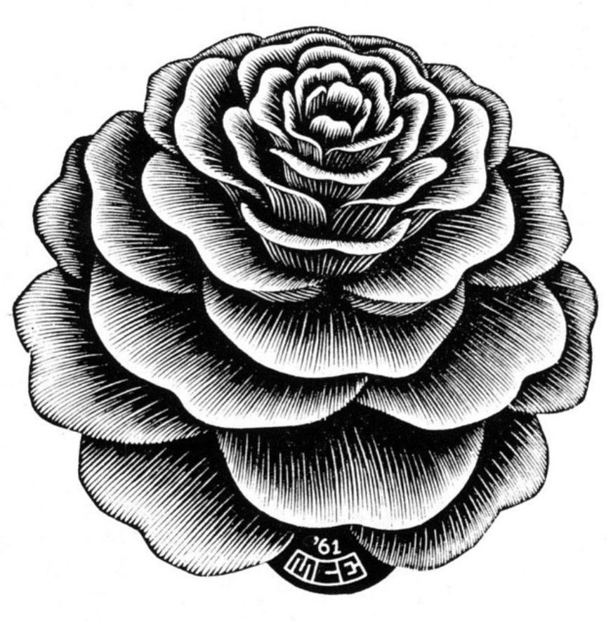 The 2D to 3D transformation of the Dutch printmaker MC Escher, the ...