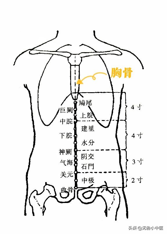 "Acupuncture" 45. Juque (Ren pulse) - iNEWS