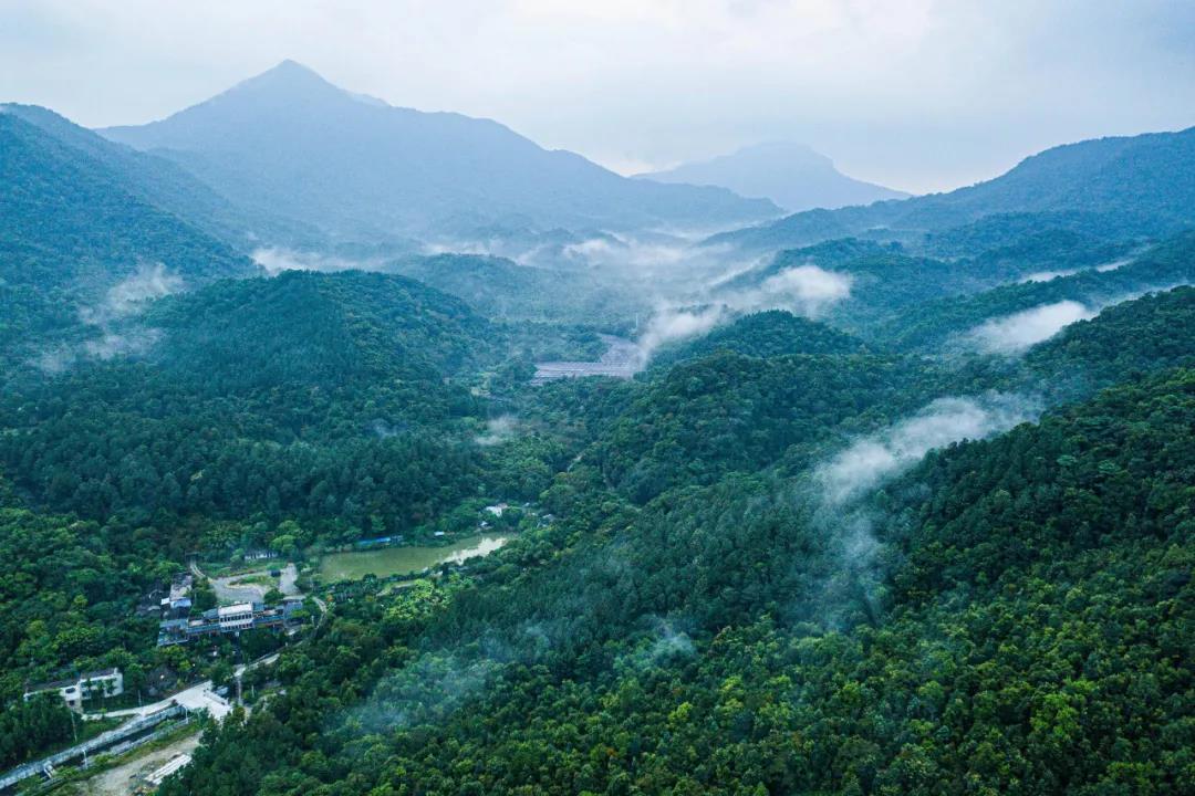 Hainan Tropical Rainforest National Park System Pilot Area - iNEWS