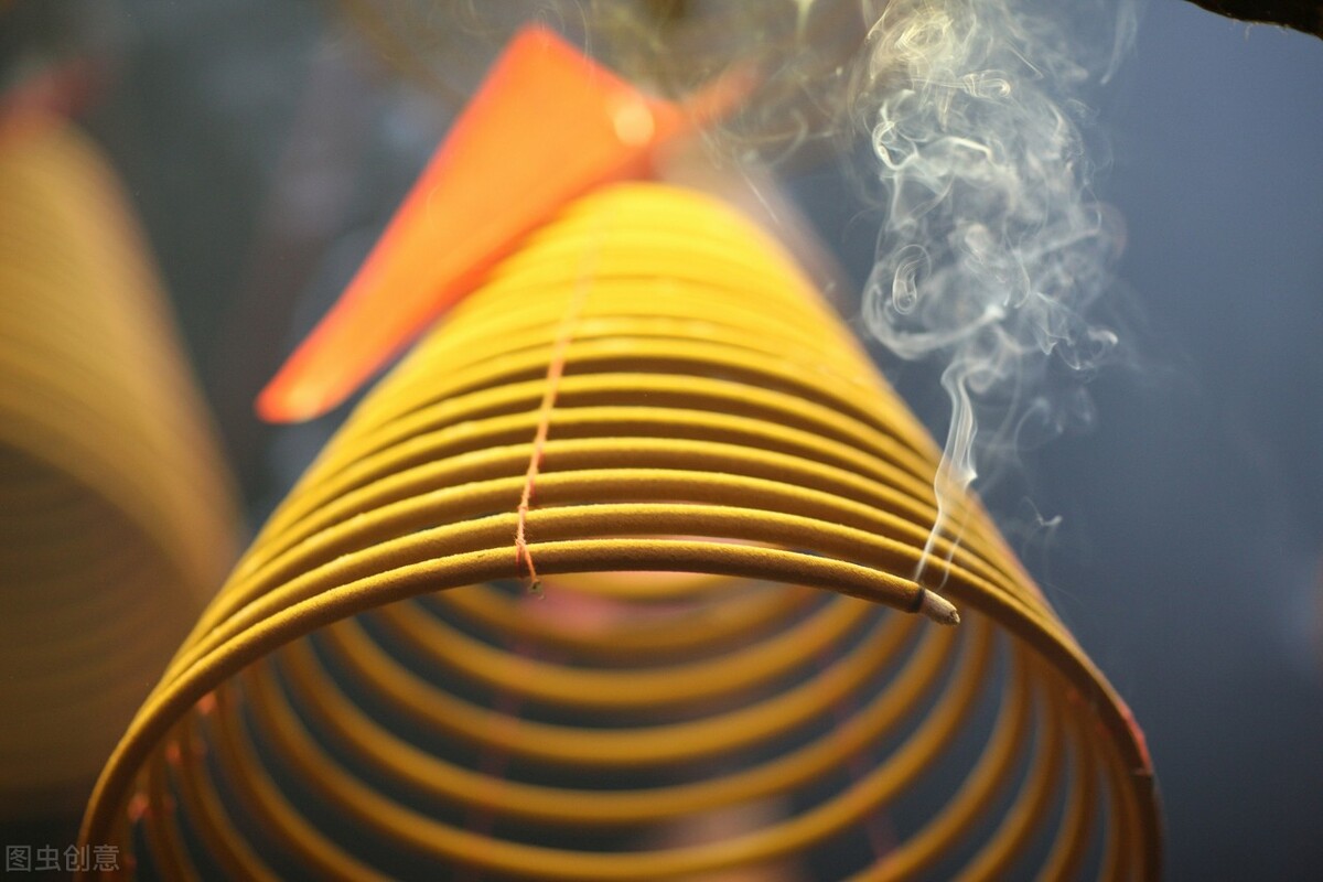 Rootless Trees (7)-Flowers are blooming - iNEWS