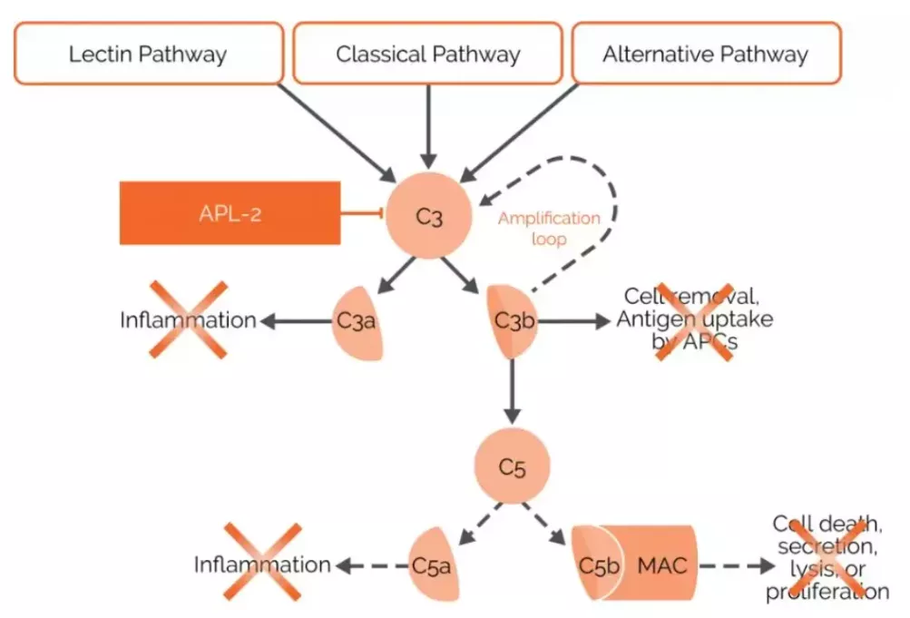A record high in the same period, the FDA approved 26 new drugs in the ...