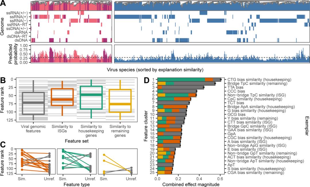 What is the next animal virus that "ravages" humans?AI predicts 18 high ...