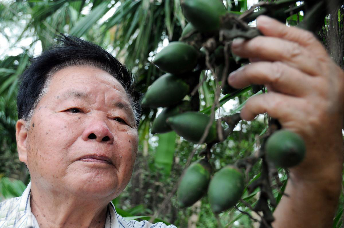 The death of betel nut: addiction is just a superficial, the hobby of ...